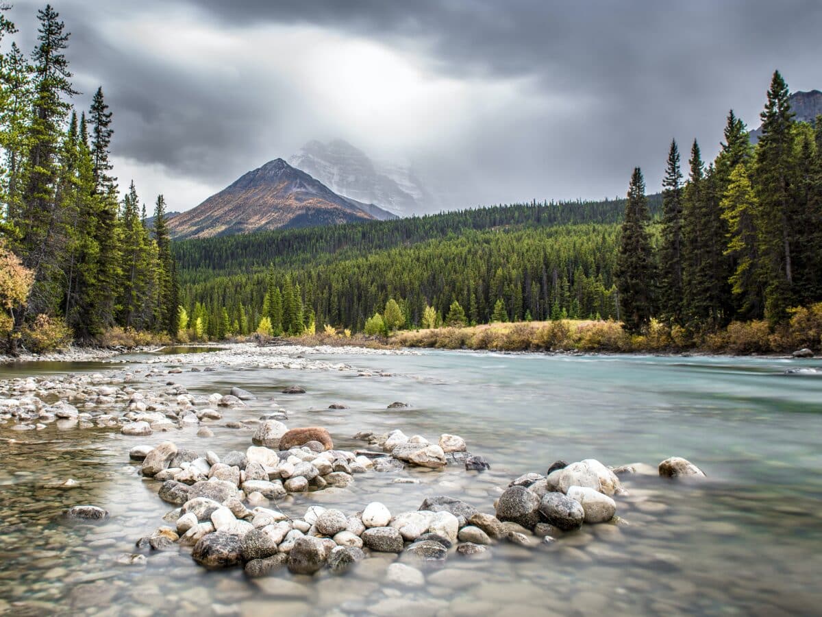 Canadian Author Spotlight: Indigenous Voices